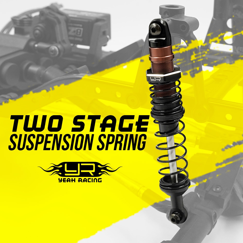desert lizard rc shocks